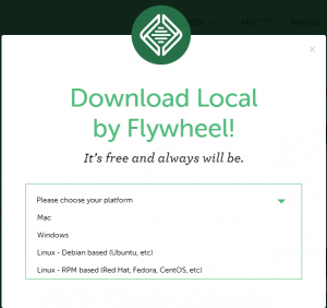 How To Create WordPress Website Offline: Beginners Guide